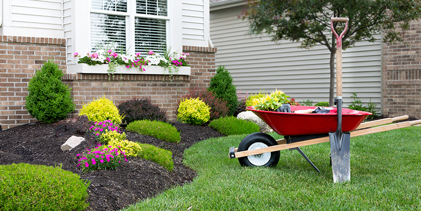 Landscaping tips that’ll help you save energy | Avista Connections